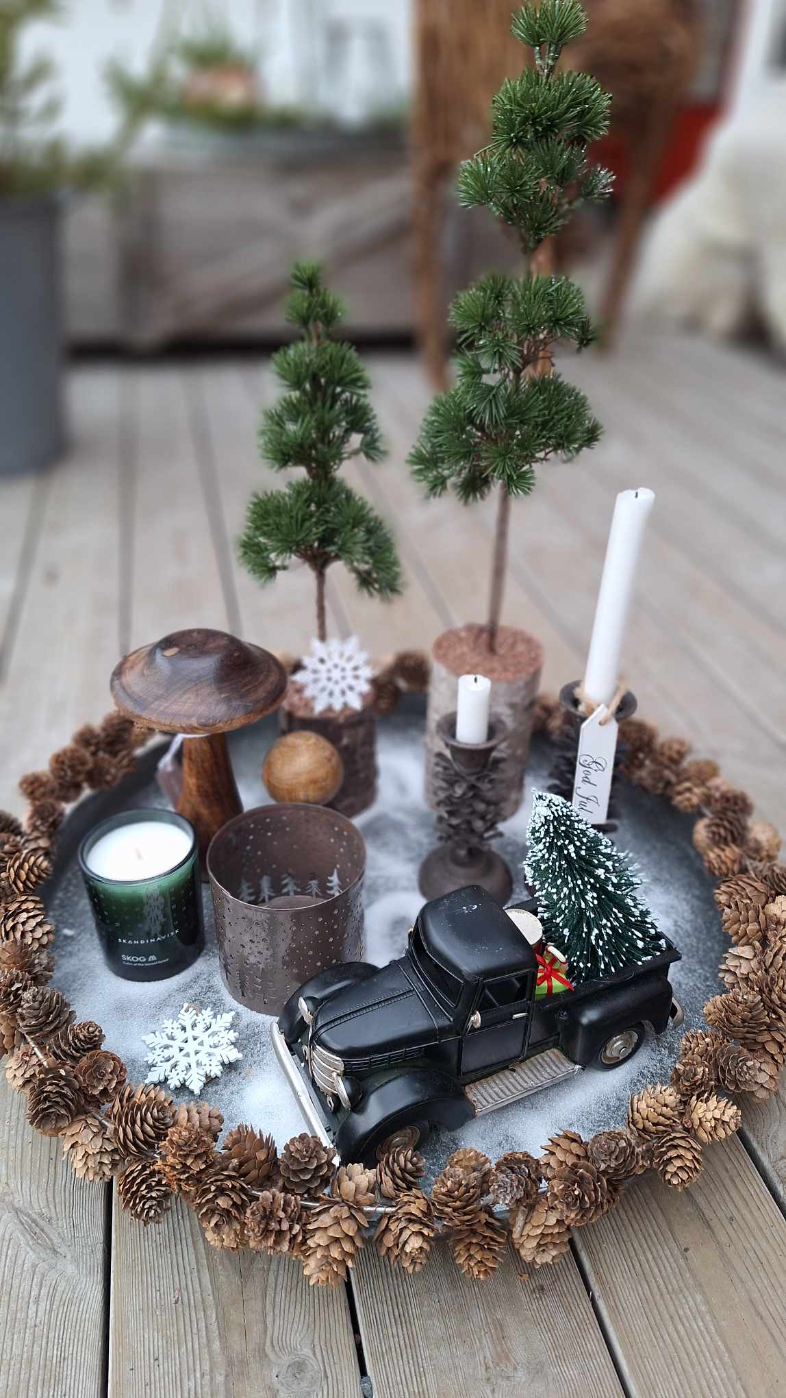 Furu På Stubbe - Tore-Garden