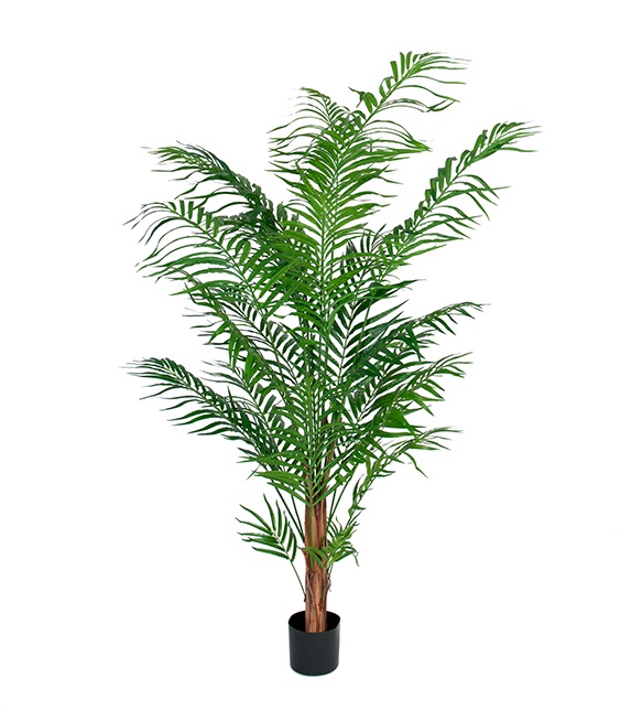 PALME 120cm - Tore-Garden