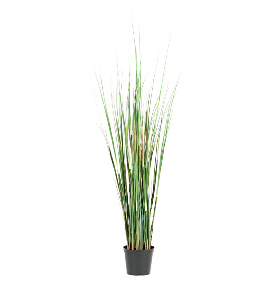 GRESS 95cm - Tore-Garden